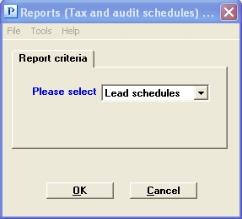 Preparing Tax and Audit Schedules